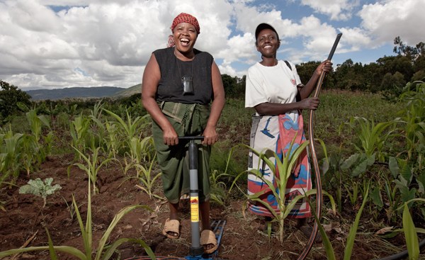 Africa: Kickstarting Entrepreneurship and Progress - allAfrica.com