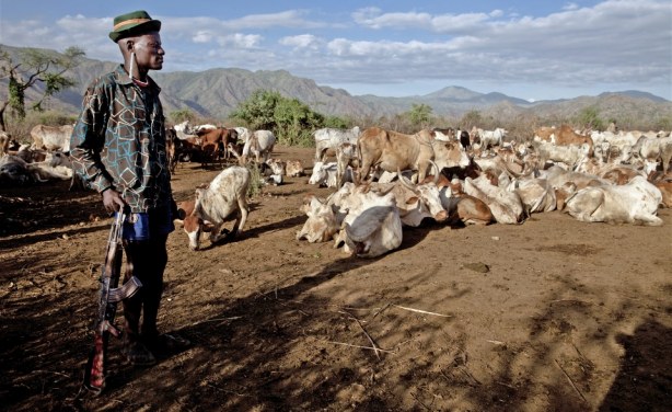 Kenya: Seven Dead in Fresh Baringo Attacks - allAfrica.com