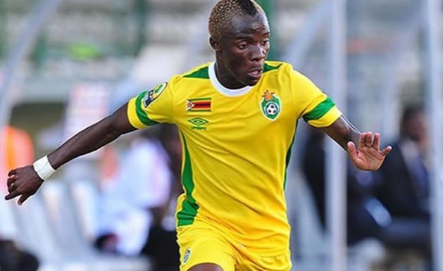 Zim Coach Banks On Mahachi Ahead of South Africa Tie - allAfrica.com