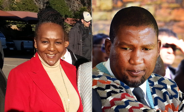 how many grandchildren did nelson mandela have