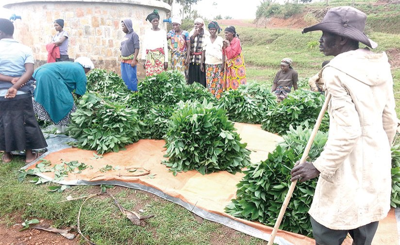 Rwanda: End of Price Regulation Opens New Chapter for Rwandan Farmers ...