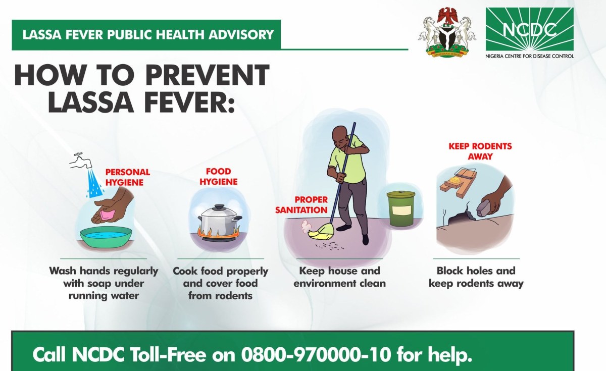 Nigeria Records 38 Lassa Fever Cases, Nine Deaths in One Week ...