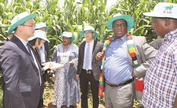 Zimbabwe: Chinese Tour President's Farm - allAfrica.com