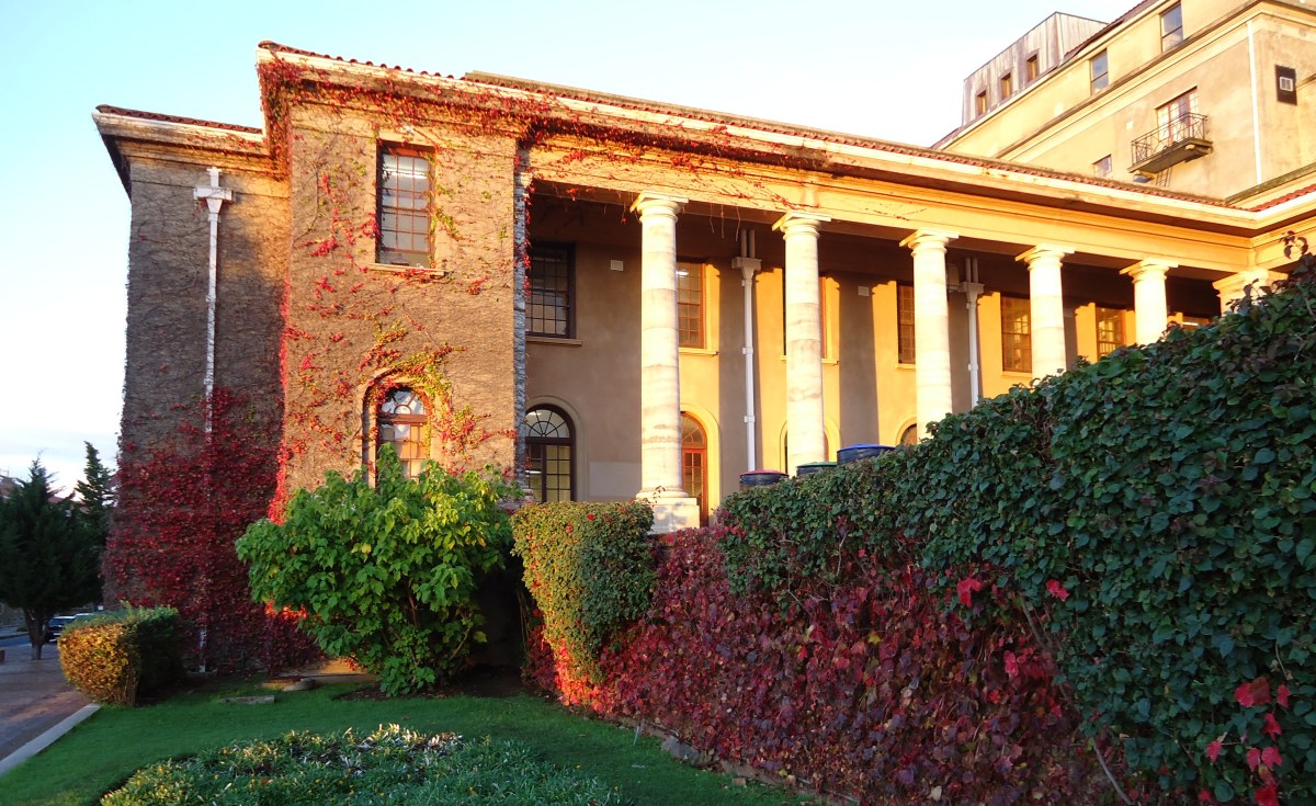 South Africa: UCT At the Forefront of Landmark Discovery On Early Human ...