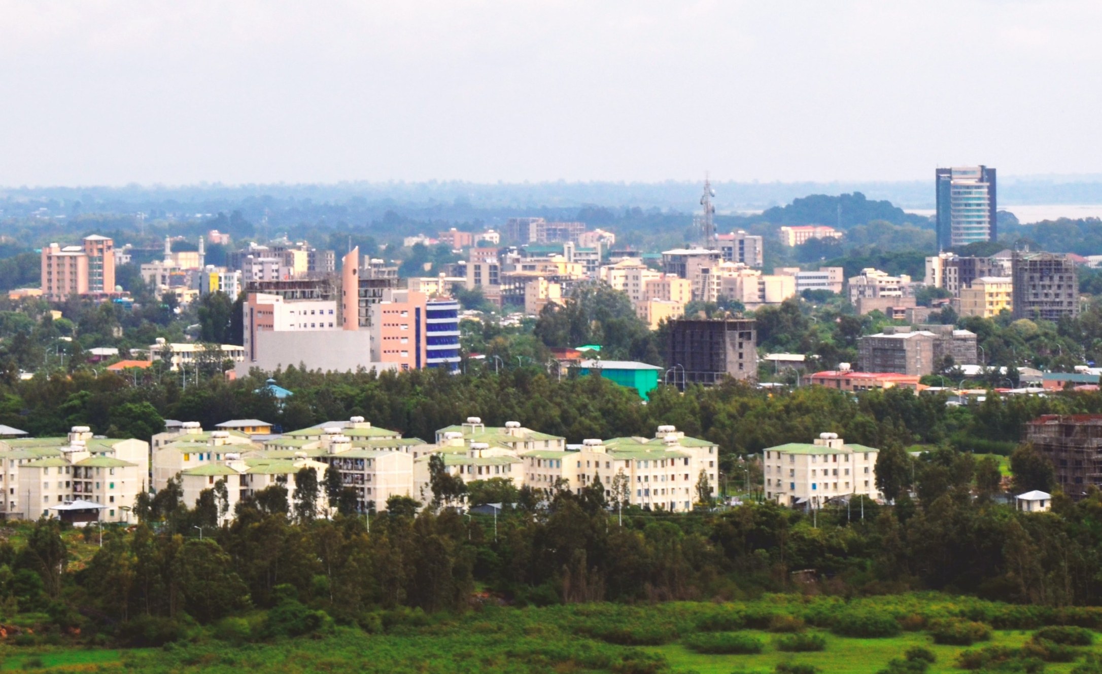 Ethiopia: Who Is Fano? Inside Ethiopia's Amhara Rebellion - allAfrica.com