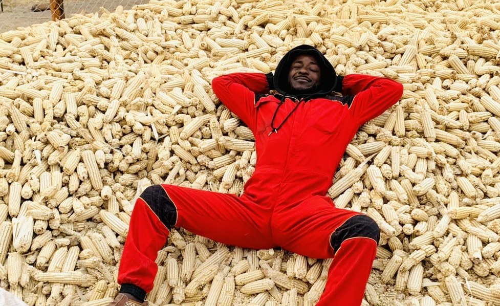 Zimbabwe: Agric College, Ags in Training Partnership - allAfrica.com