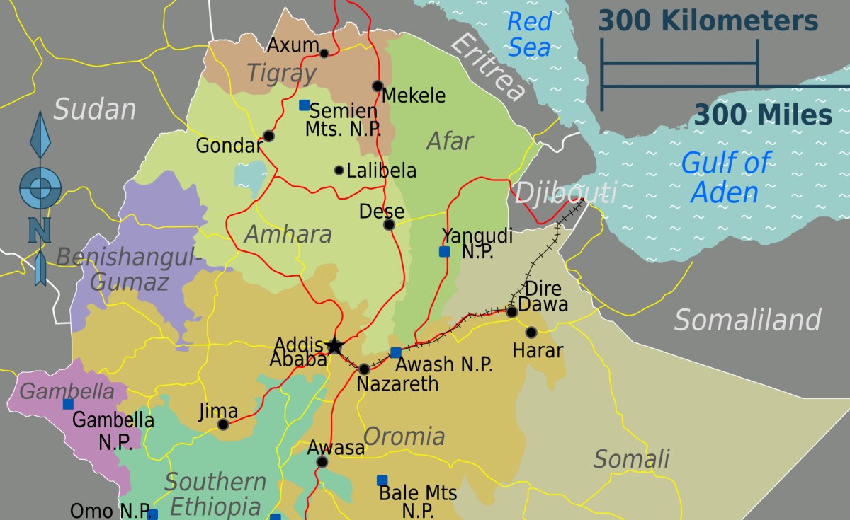 Ethiopia: Dire Shelter Crisis Grips Thousands of IDPs in Amhara's North ...