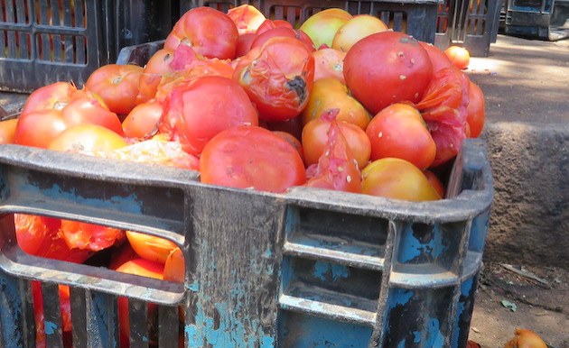 Zimbabwe: Reduce Food Waste, Zimbabweans Urged - allAfrica.com