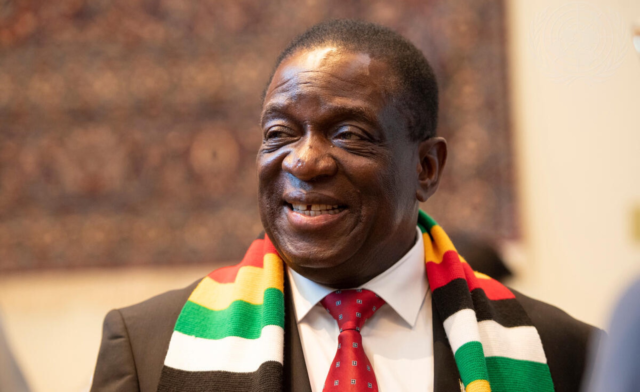 Zimbabwe: Mnangagwa Reassigns Two Ministers, Demotes Shava - allAfrica.com