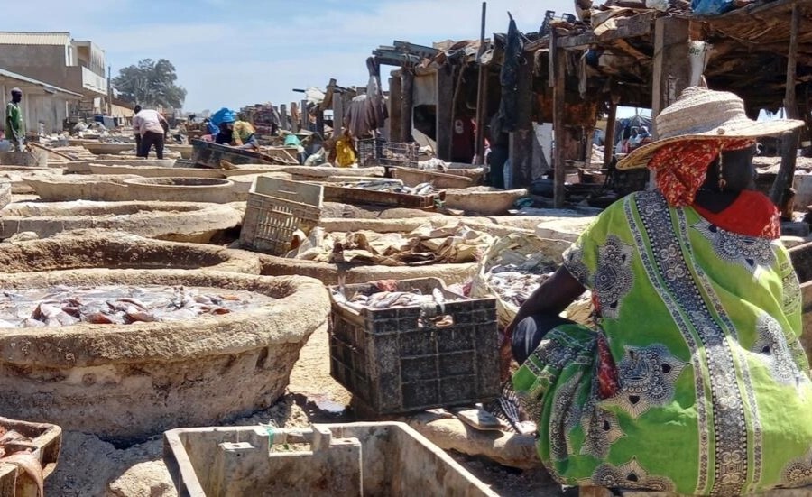 Senegal Mourns Thiaroye War Heroes Slain By French Troops 80 Years Ago ...