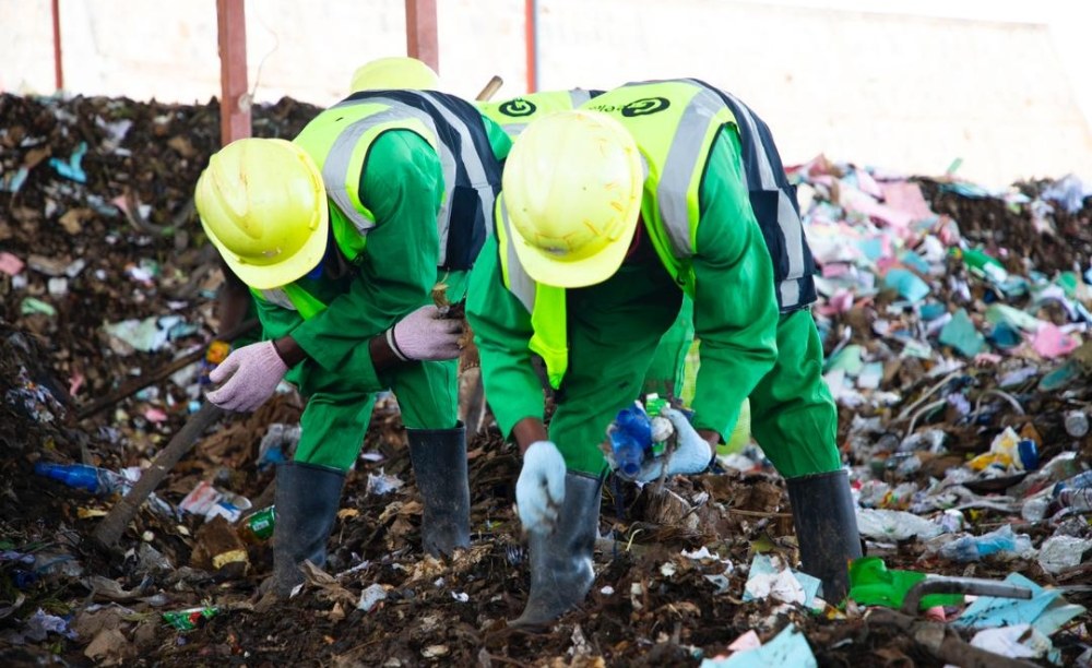 Rwanda: How Waste Became a Soil Scientist's Cash Cow - allAfrica.com