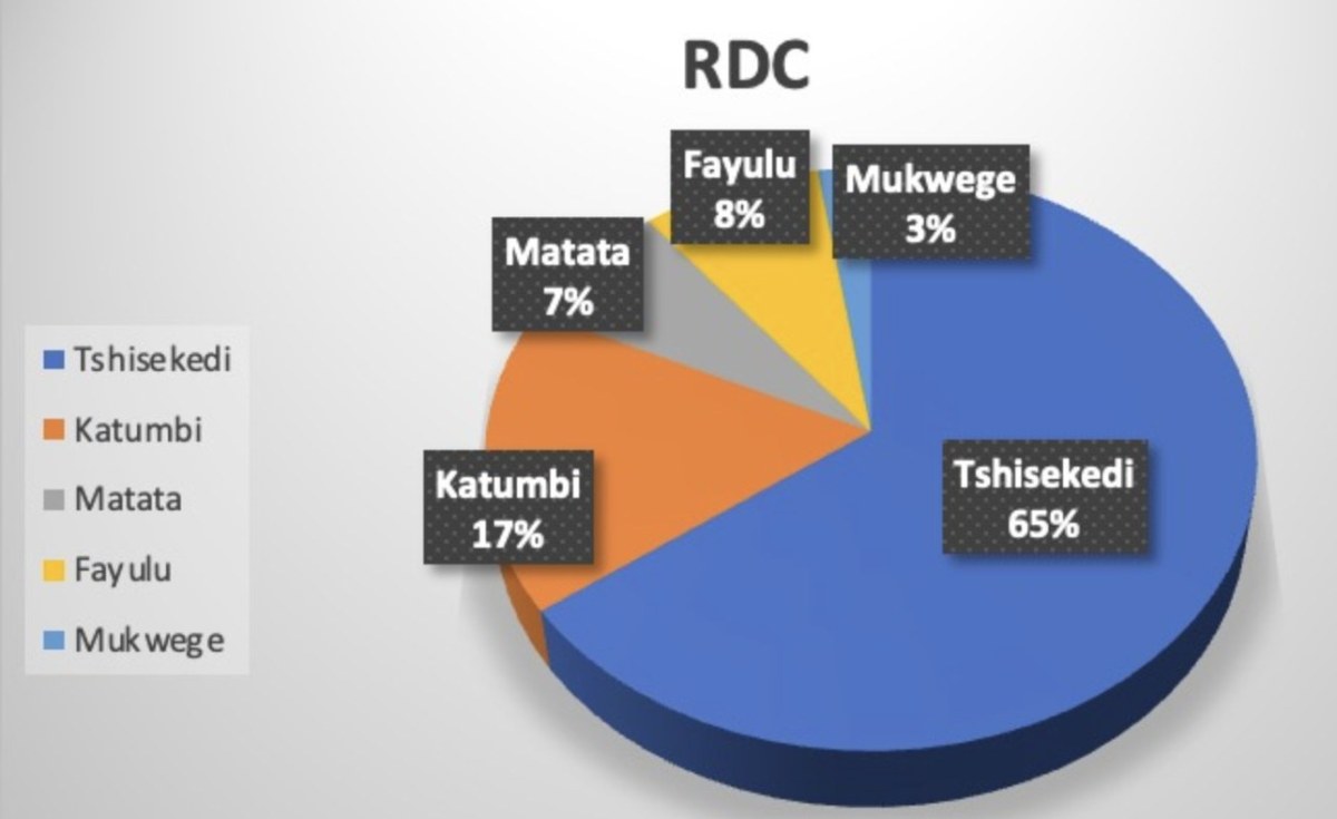 La signification des prochaines élections en RDC pour l'Afrique - Le plaidoyer en faveur de la ...