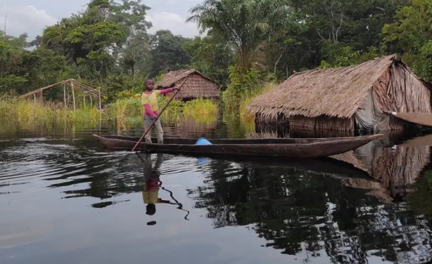 Neglected Tropical Diseases Persist in the World's Poorest Places ...