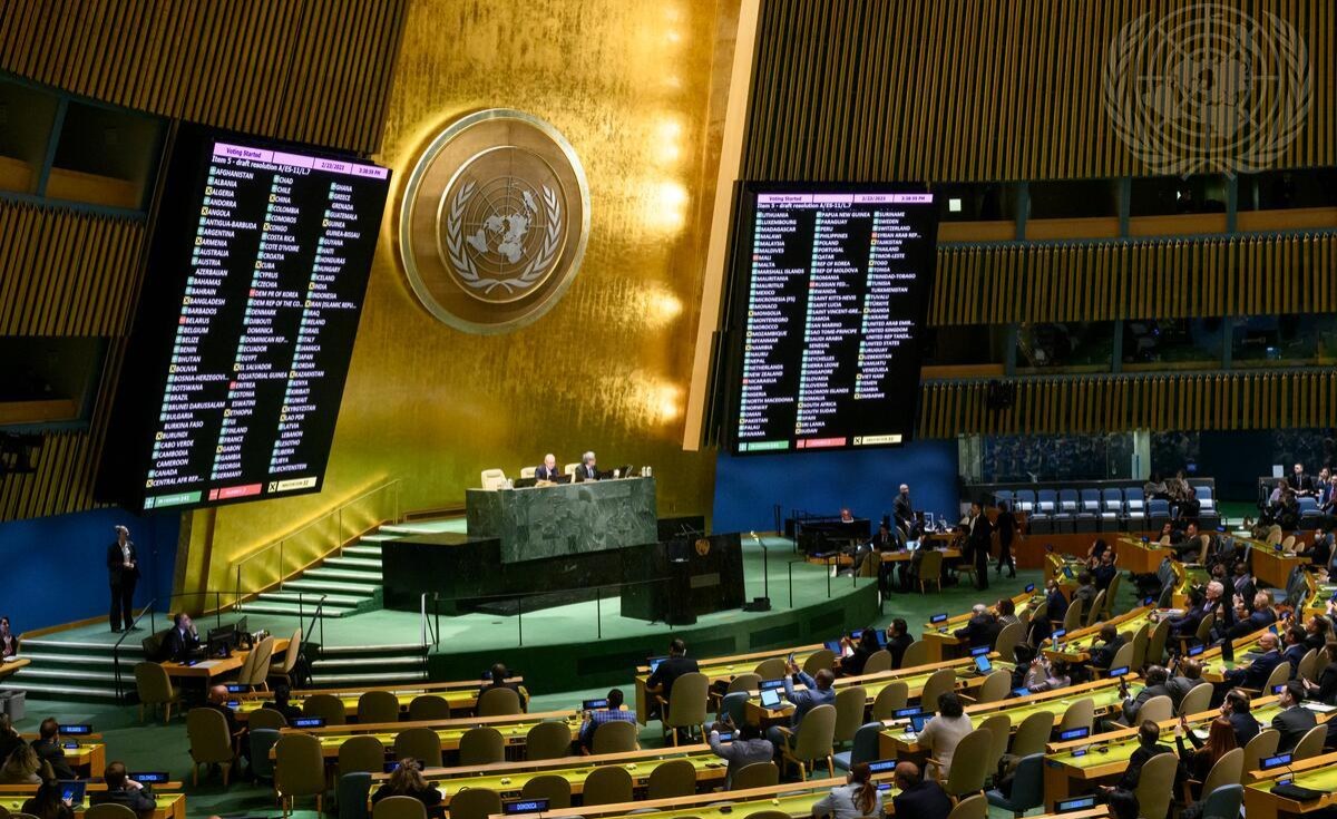 Afrique: AGNU - Plaidoyers des pays africains pour une réforme du ...