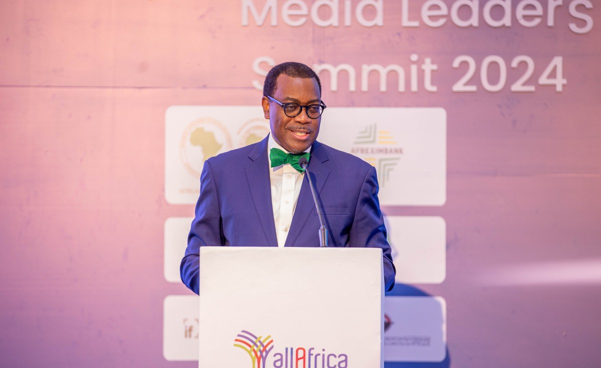 Focus on Africa's Success, Not Stereotypes - AfDB Chief - allAfrica.com