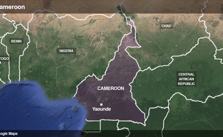 Cameroon Says Homeless Flood Victims Escaped to Chad As Fresh Floods ...