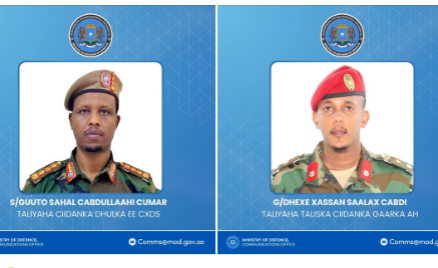 Somali President Changes Army Hierarchy as More Troops Die - allAfrica.com