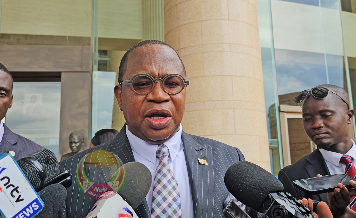 Zimbabwe: Mthuli Ncube Slashes Repetitive Licensing Fees After Personal ...