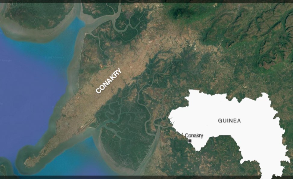 Guinea: Seven Things to Know About Guinea's Constitutional Referendum ...