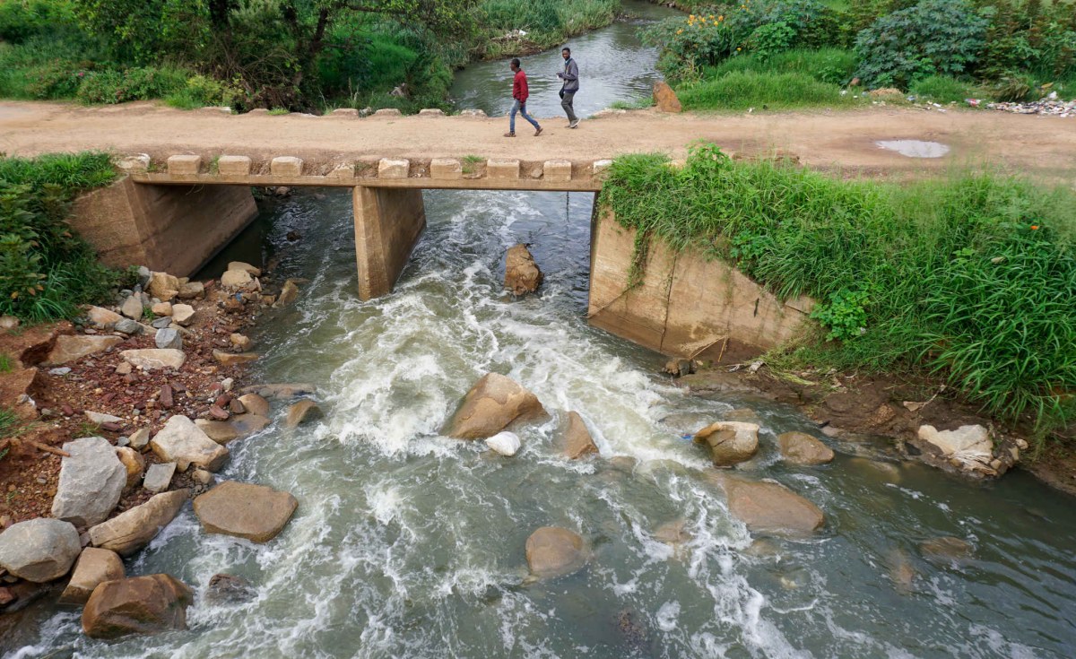 Zimbabweans Rally to Save Lake Chivero from Pollution - allAfrica.com