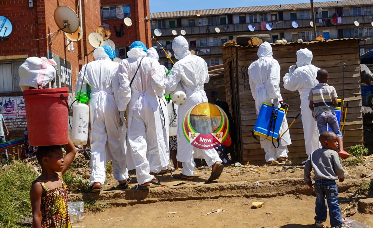 Zimbabwe Launches Emergency Response to Bed Bug Outbreak - allAfrica.com