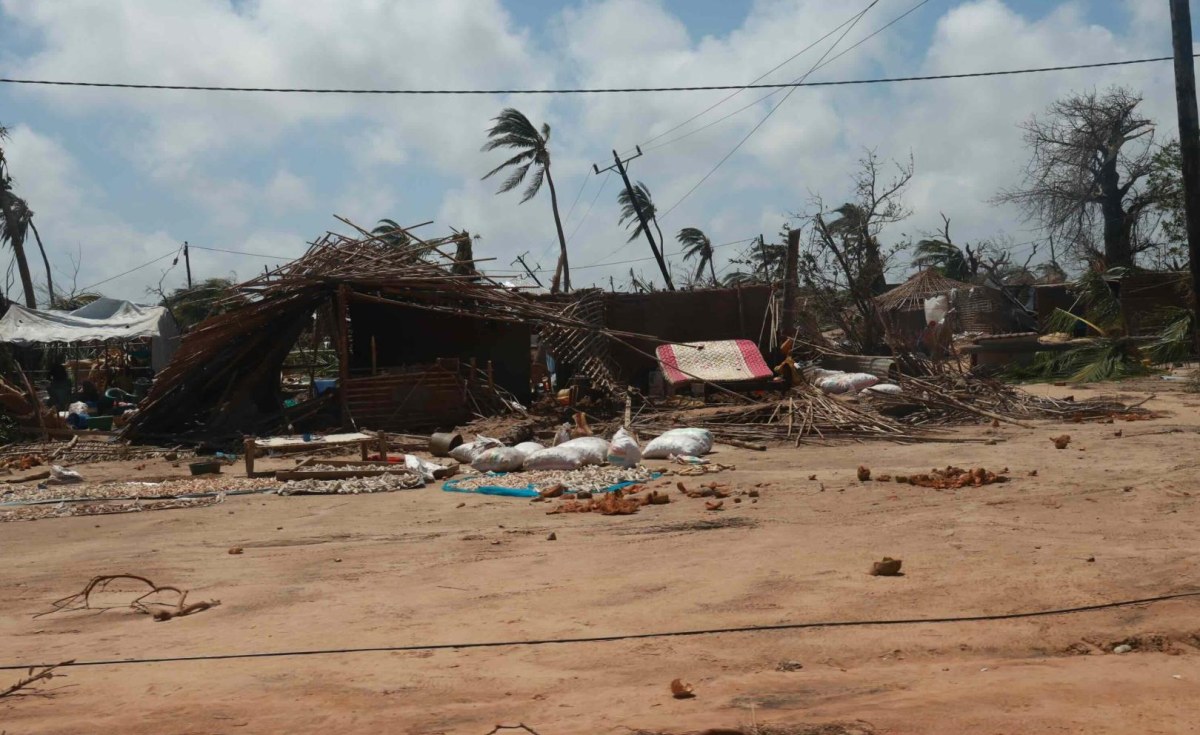 Mozambique: 20,000 Rescued in Maputo and Gaza - allAfrica.com